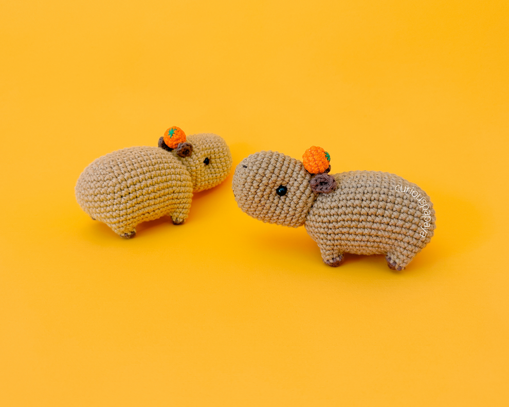 Capybara Crochet Pattern – curiouspapaya